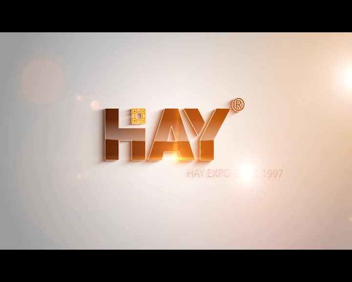 Modular Exhibition Display Floor for Auto Show 4s Shop