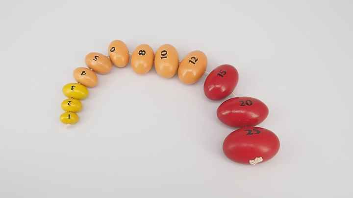 Medical Wooden Orchidometer - Ideal for Endocrinology