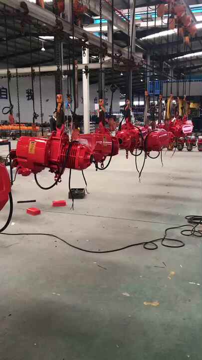 3 Phase 2 Ton Futaba Electric Chain Hoist for Crane Use