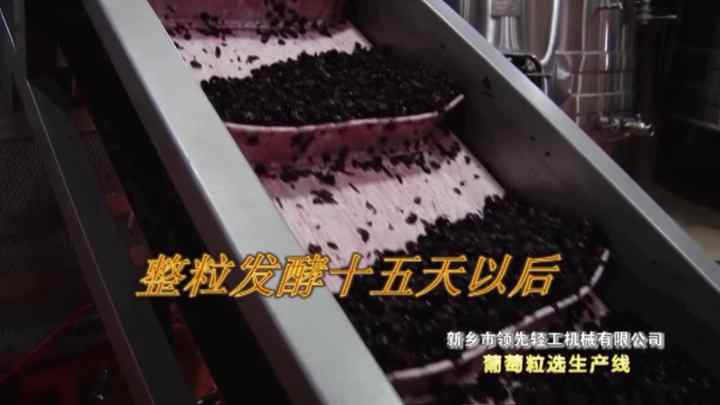 Industrial Wine Grape Press Machine for sale Hydraulic Basket Wine ...