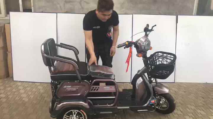 China New Style Three Wheel Mini Scooter E Trike for Mobility