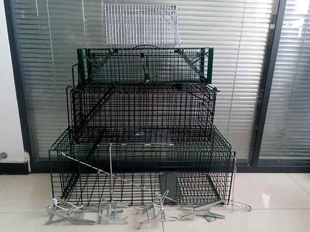 Effective Mole Traps - Wholesale Available for Pest Control