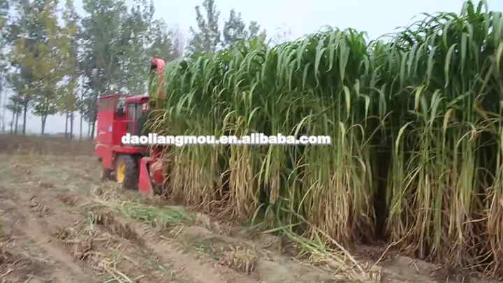 Napier Grass Chopper Machine - Efficient Silage Harvesting