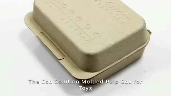 Eco-friendly Sugar Cane Pulp Boxes - Biodegradable Packaging