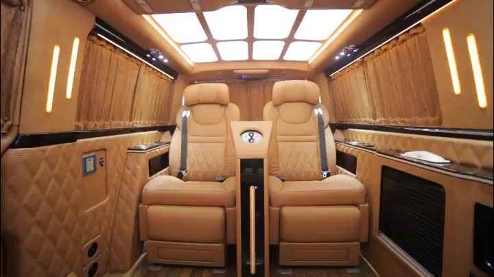 CTZY029 Auto Back Row Seat - Luxurious Adjustable Leather