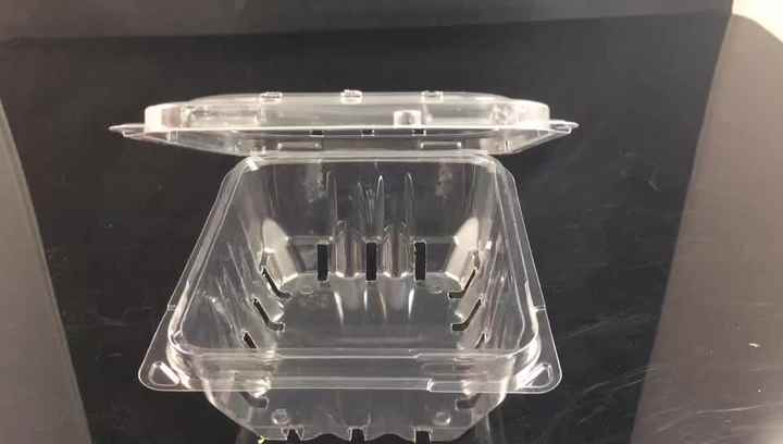 Eco-friendly PET Clamshell Packaging for Blueberries