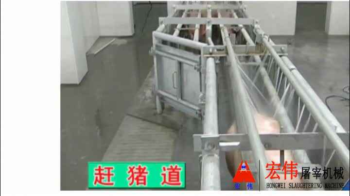 Pig Electrical Stunning Machine for Slaughterhouses - Frequency ...