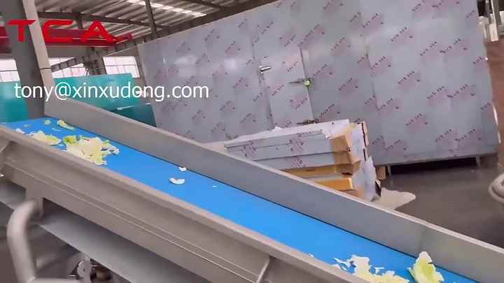 Full Automatic Vegetable Fruit Sorting & Processing