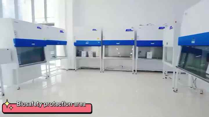 Biobase China Class Ii A2 Motorized Front Window Automatic Air Speed ...