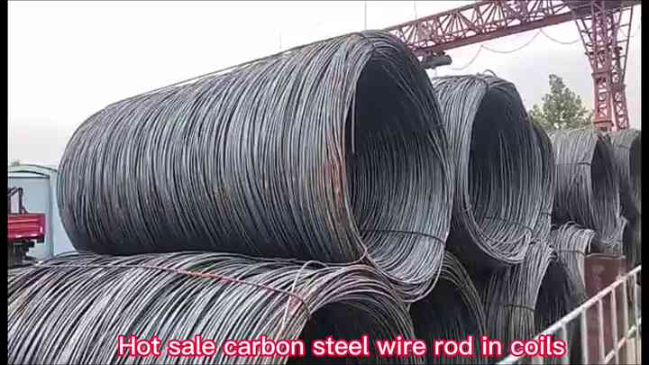 High Galvanized Steel Wire Rod - Q195/Q235/SAE1006/1008