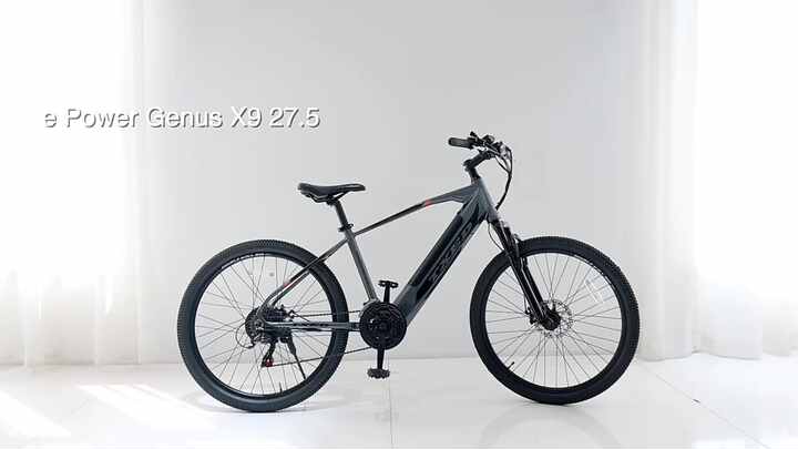 TXED 36V Electric Bicycle - Hidden Battery Mountain Bike