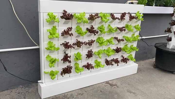 Skyplant Wall Type Hydroponic System - Easy Vertical Growing