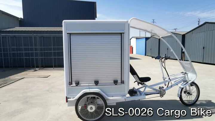 Electric Cargo Tricycle - Heavy Loading 3 Wheel Bike