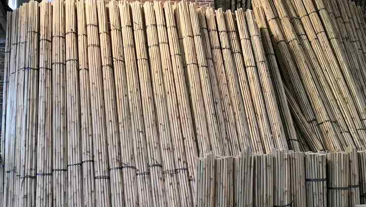 Bamboo Cane - Durable, Flexible Support for Garden Plants