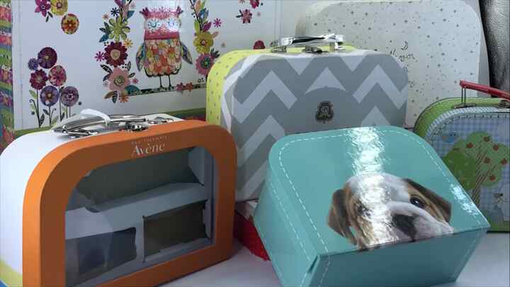 Wholesale Custom Kids’ Cardboard Travel Suitcase Toy Storage Box