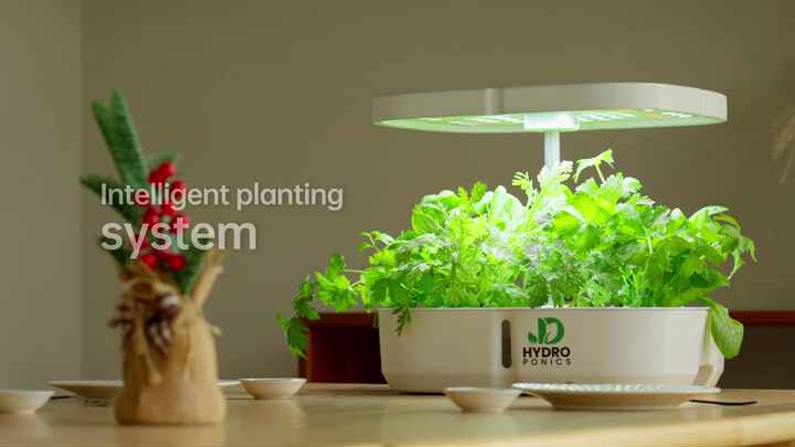 Smart Mini Equipment Indoor Hydroponic Kit for Growing
