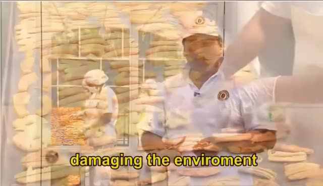 ACME AMS-3.6G 200-300kgs Solar Dehydrator Fruit Vegetable Greenhouse ...