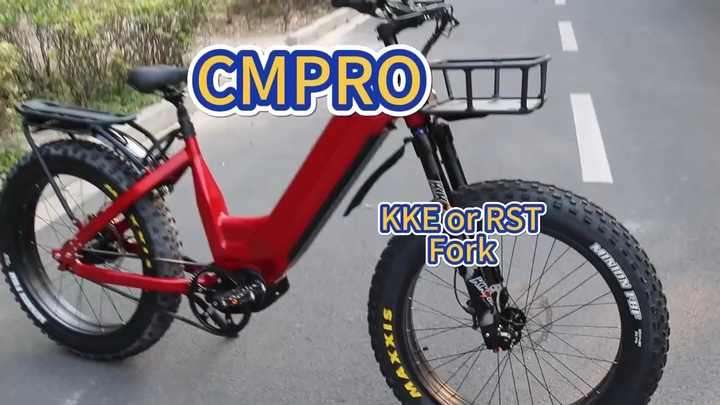 Step Thru Electric Dirt Bike with Hub ROHLOFF 14 Speeds Belt Drive and 1000W Mid Motor Electric ...