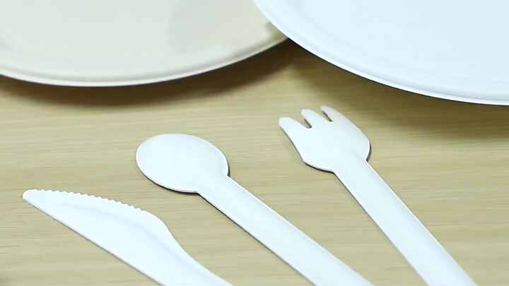 SUMKOKA BPI Disposablec Sugarcane Bagasse Cutlery Natural Pulp ...