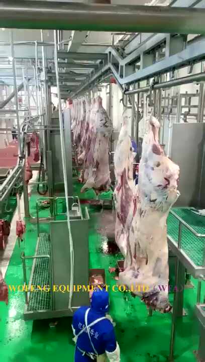 Hot Sale Cattle Abattoir Equipment Slaughter Line Convey Rail for Beef ...