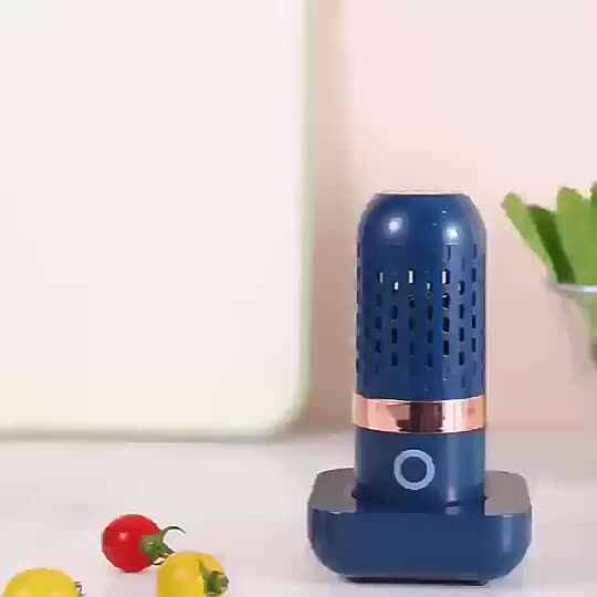 Capsule Shape USB Wireless Food Purifier Fruits Vegetables Rice Meat ...