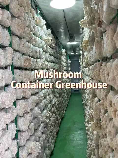 Mushroom Container Greenhouse Growing Equipment Vertical Growing ...