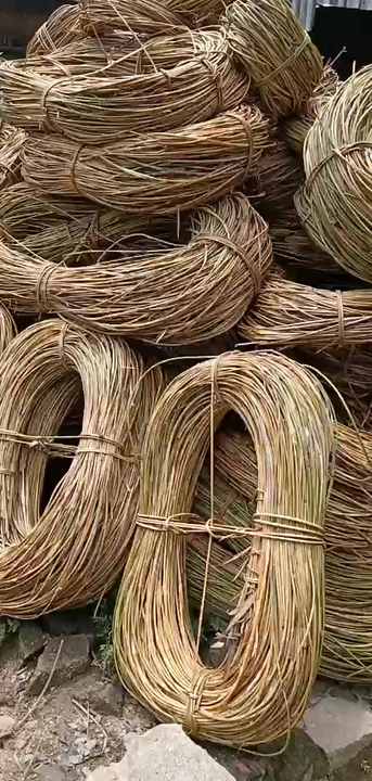 Manau Rattan Poles from Vietnam - Durable and Versatile