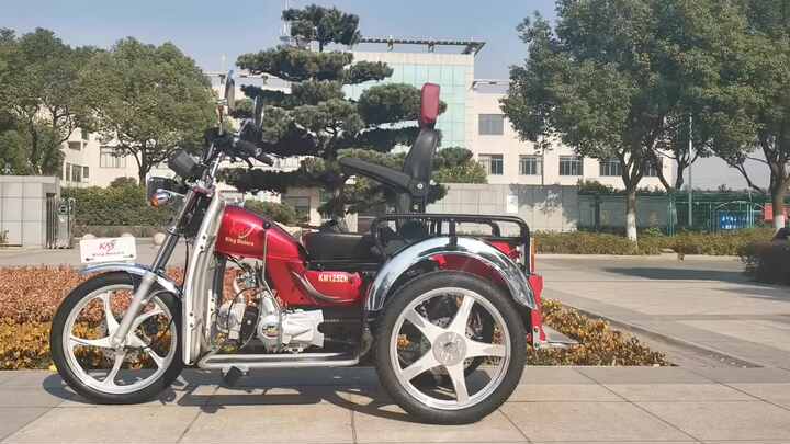 Three Wheel Disabled Tricycle - SONIK XFMCO Model XF110ZH-6