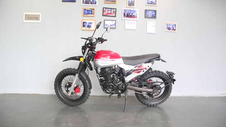 Motorcycle Cafe Racer 250cc - Retro Bike with Custom Options for ...