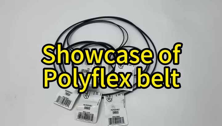 3M 5M 7M 11M Effective Length Belts - High Quality Polyflex Machine Belts