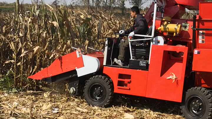 Small Tractor Corn Harvester Cutting Corn Pick Machines for Farmer Sale ...