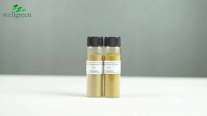High Quality Kanna Extract - 10:1 Sceletium Tortuosum Powder
