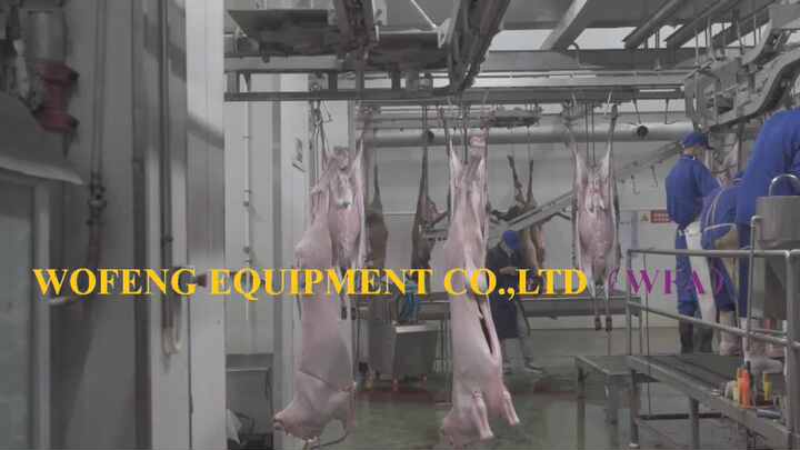 Modern Technology 500 Head Per Shift Sheep Slaughterhouse Equipment ...
