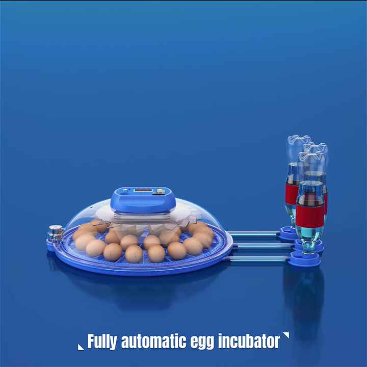 Wholesale 80 Egg Incubator, Fully Automatic Egg Hatching Machine with ...