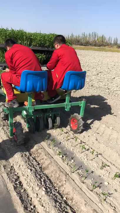 Multi-functional Vegetable Transplanter for Tomato & Pepper