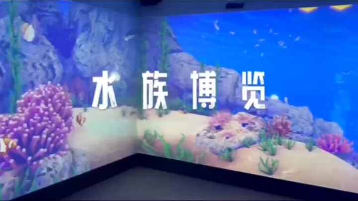 Customized 3D Mapping Interactive Wall Projector - Immersive Visuals
