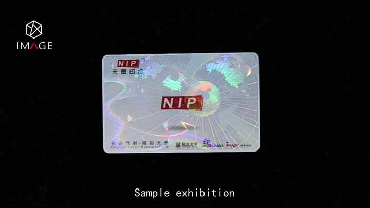 Shiny Transparent ID Card Hologram Overlay - Earth & Airplane Design