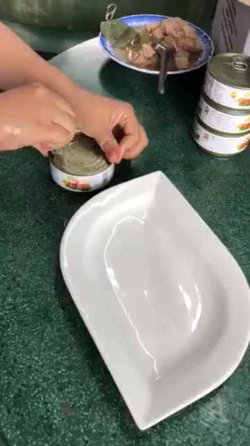 Canned Tuna Fish Chunk in Vegetable Oil - 170g X 48 Tin/ctn
