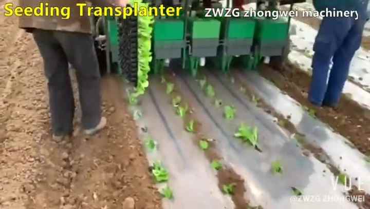 Chilli Transplanter - Efficient Seedling Transplant Machine