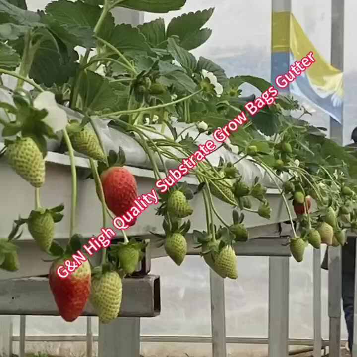 PVC Planting Gutter NFT Hydroponic Growing Systems for Strawberries