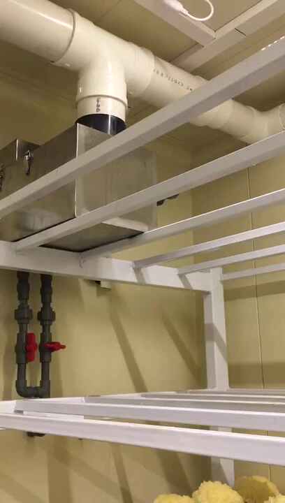 Automatic Growing Machine Mushroom Grow Rooms - KF QGF20FT