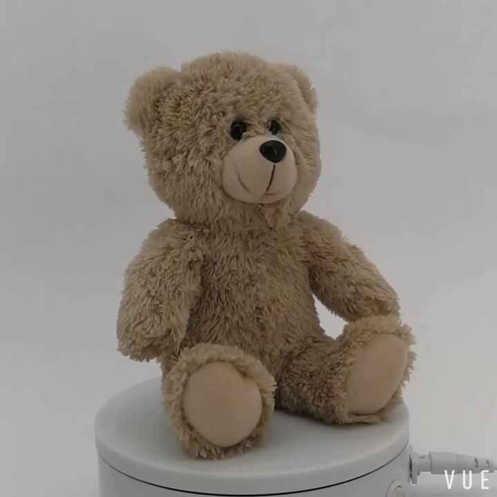 Custom Plush Teddy Bears - Perfect for Promotions & Gifts