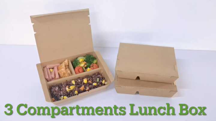 Disposable Lunch Paper Box - Multi Compartment Container