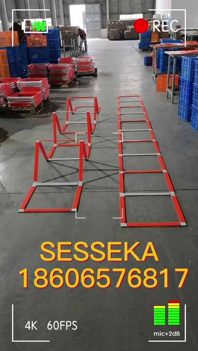 Folding Hurdle Stand Agile Hurdle Jumping Elevated Detachable Hurdle ...