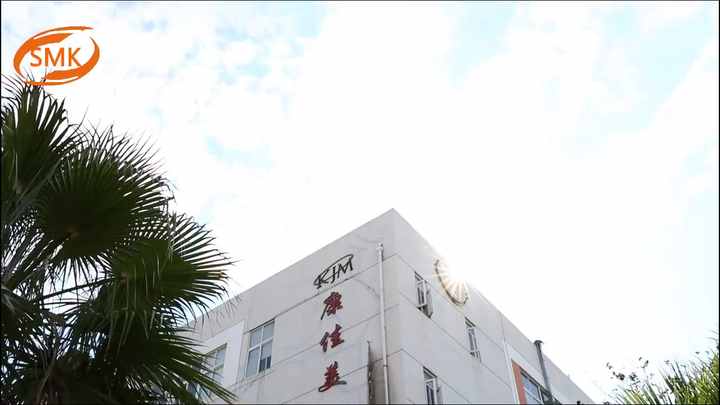 Spherical Disposable PET Bottle - 250 Ml Juice Container