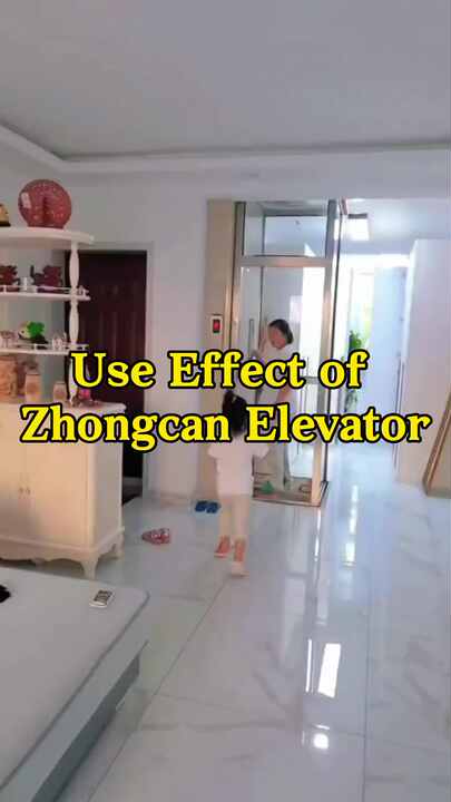 Ascense / Silent Glass Enclosure Home Lift/ Hot-selling Load 400kg ...