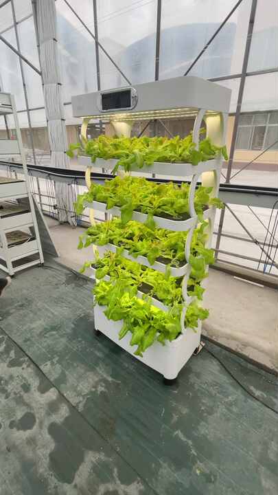 New Indoor Hydroponic Garden System - Smart Vertical Farming with 157 ...