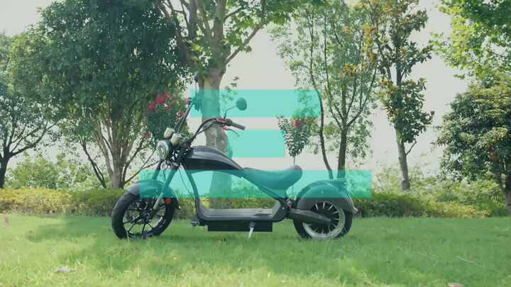 3000W Citycoco Electric Motorcycle - Dual Disc Brake Power