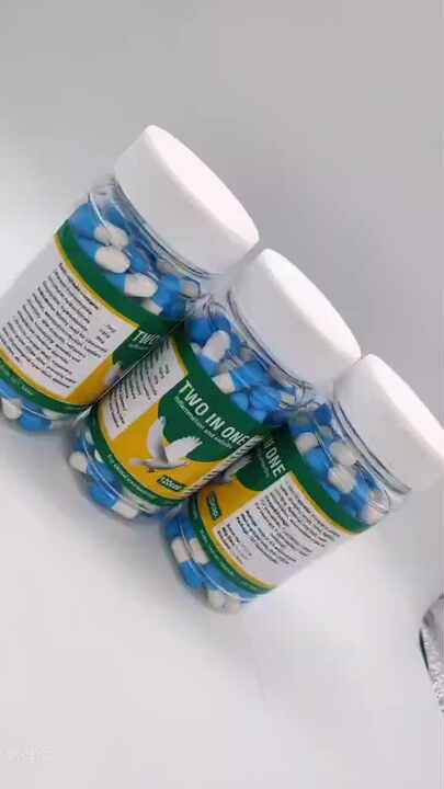 Six-in-One Racing Pigeon Supplement Capsules for Immune Support - Safe ...