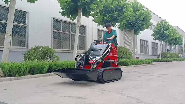 Classical Design Wheel Loaders Wheel Crawler Loaders Multifunction ...